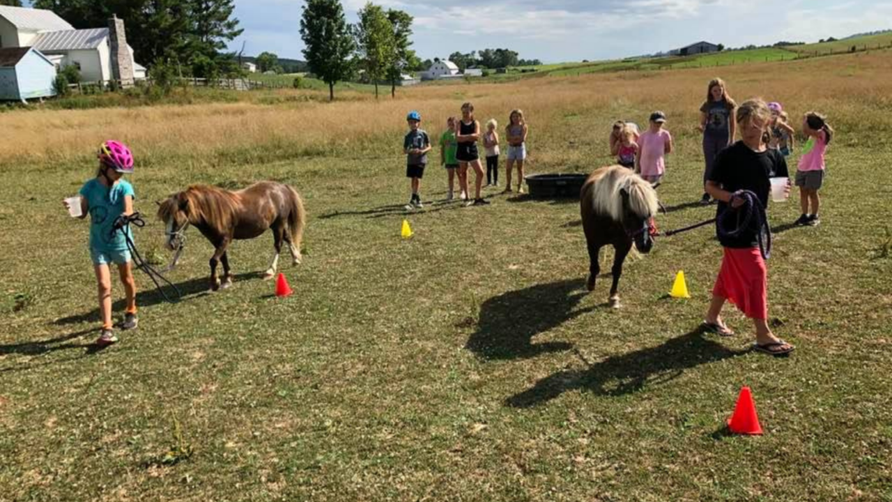 Top 5 Summer Camps in Harrisonburg - Harrisonburg, VA
