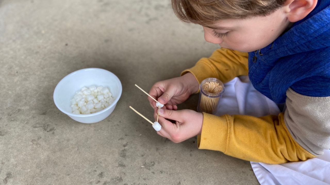 STEM Challenge: Peep Stem Activity | Snapology
