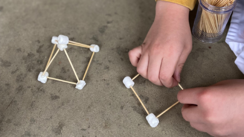STEM Challenge: Peep Stem Activity | Snapology